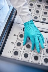 Umicore confirms expansion of its EV battery materials production ...